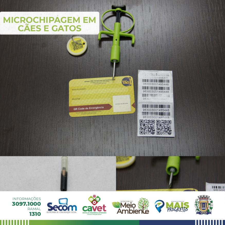 Microchipagem em Cães e Gatos - Prefeitura Municipal de Leme